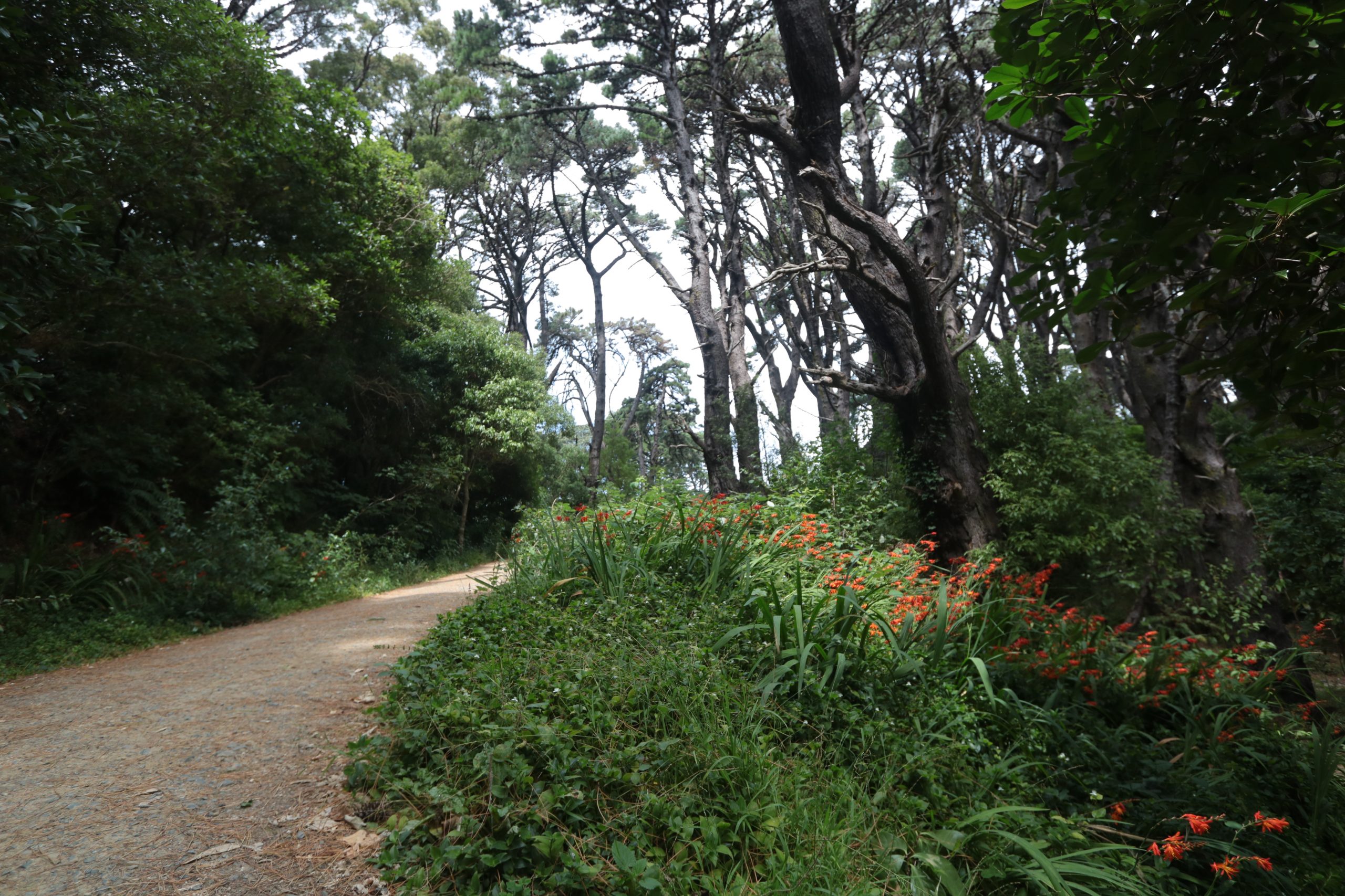 Southern Walkway – Les MnM's au bout du Monde